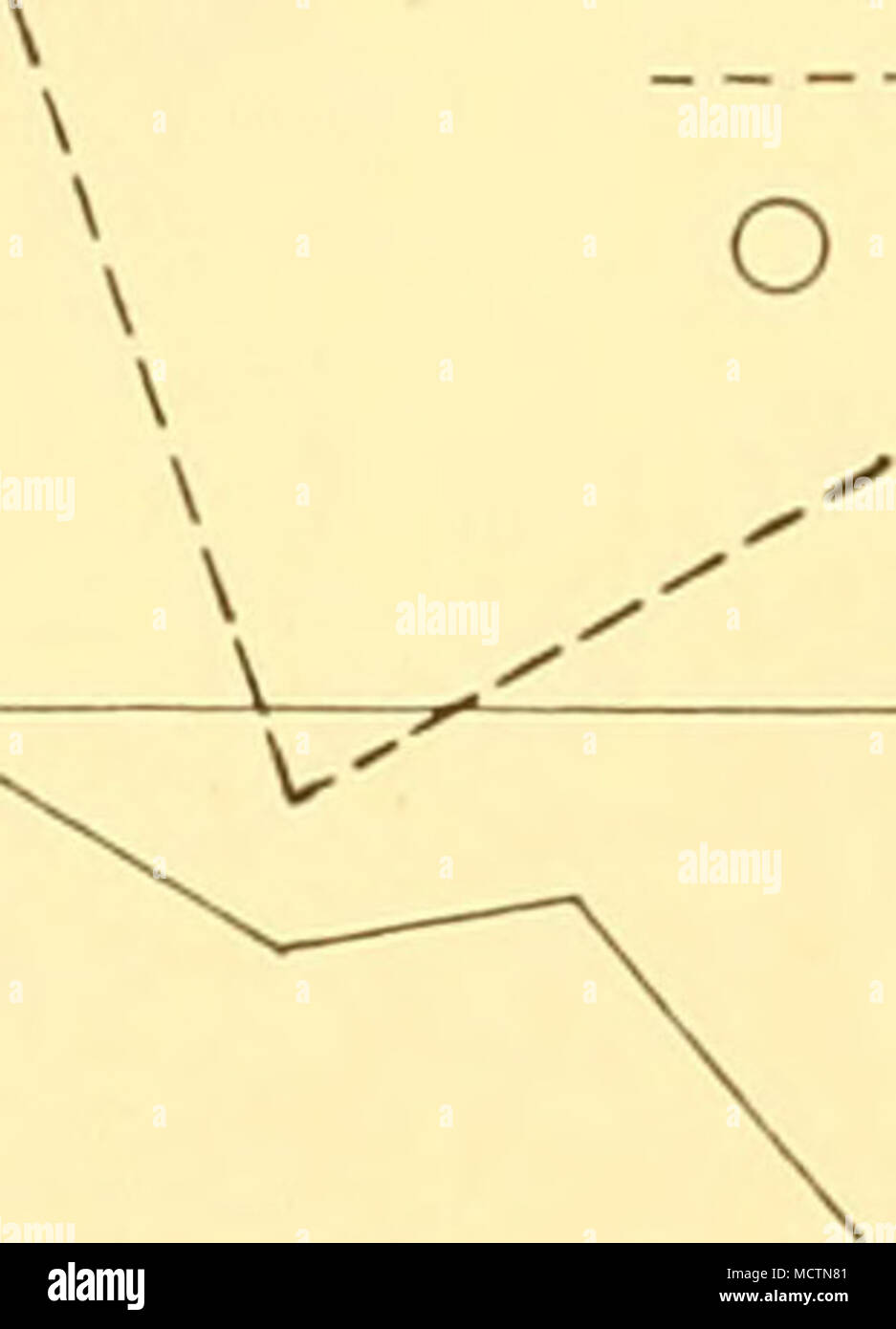 Whale anatomy fat hi-res stock photography and images - Alamy