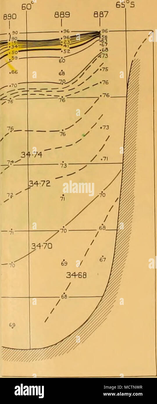 Natural history victoria melbourne hi-res stock photography and images ...