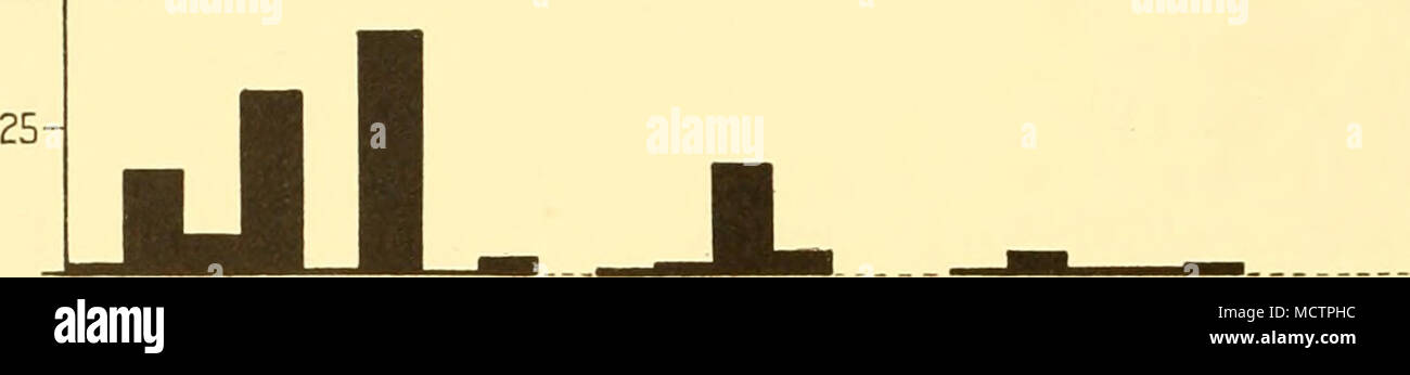 . B0 CALANUS PROPINQUUS 40 Stock Photo - Alamy