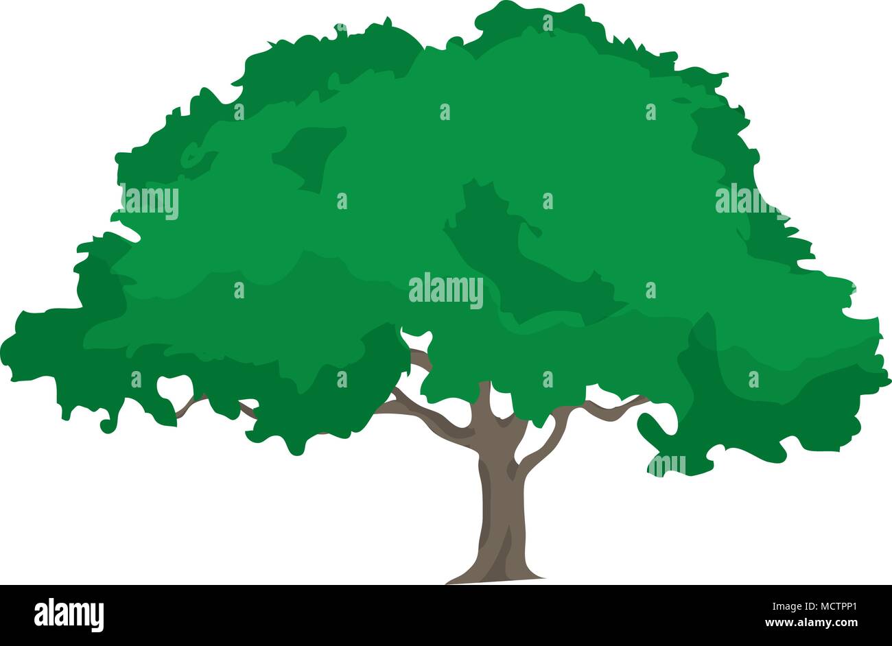 Oak stalk Stock Vector Images - Alamy