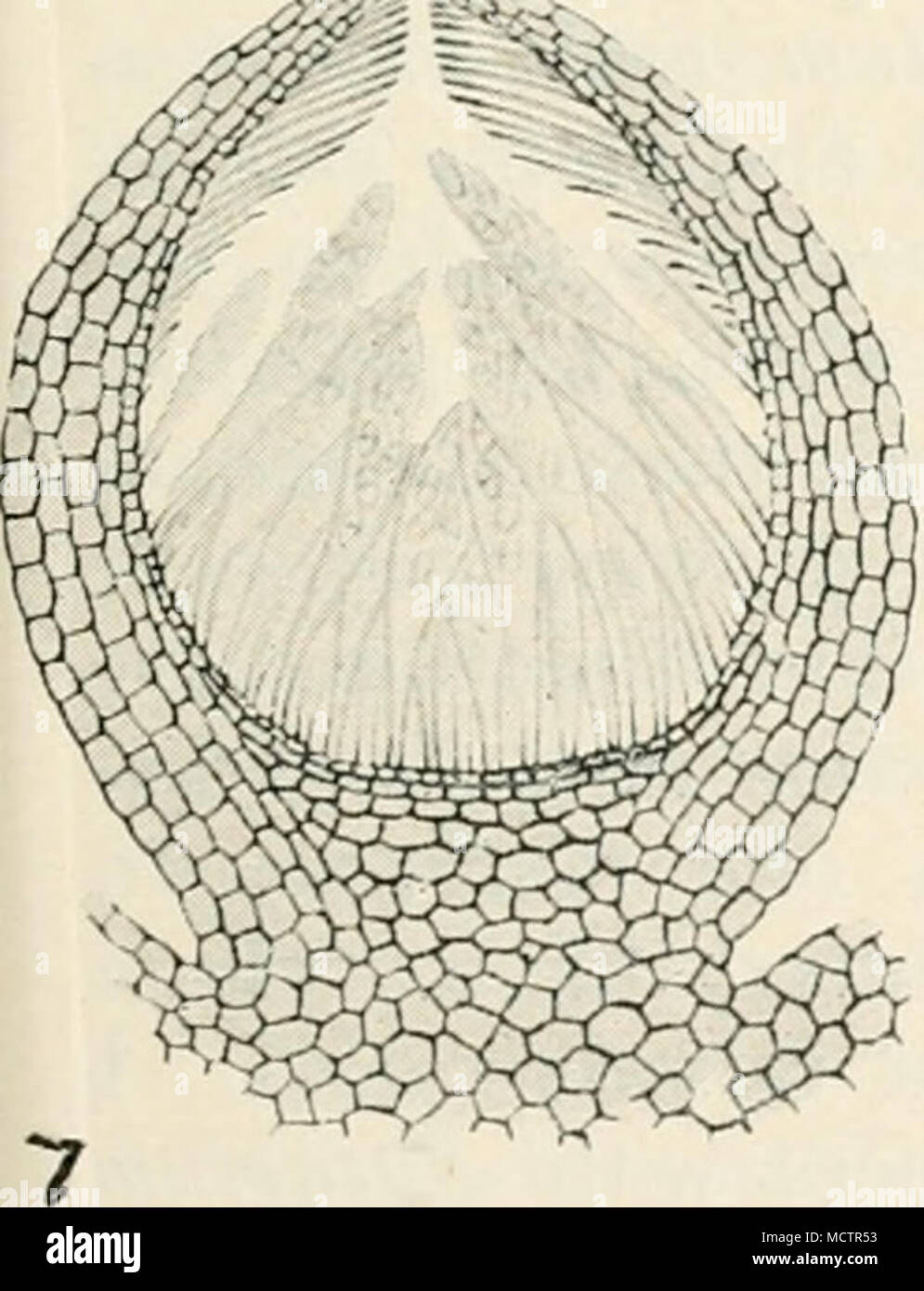 Booksubjectplantdis hi-res stock photography and images - Alamy