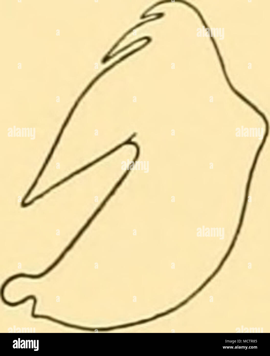 Diiferences hi-res stock photography and images - Alamy