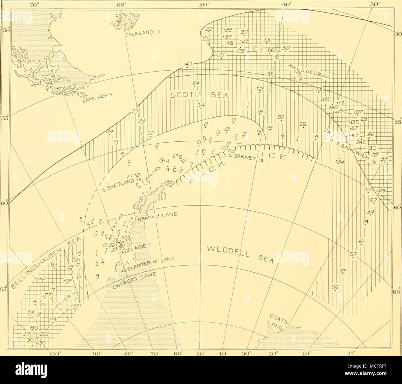 Plankton rich areas hi-res stock photography and images - Alamy