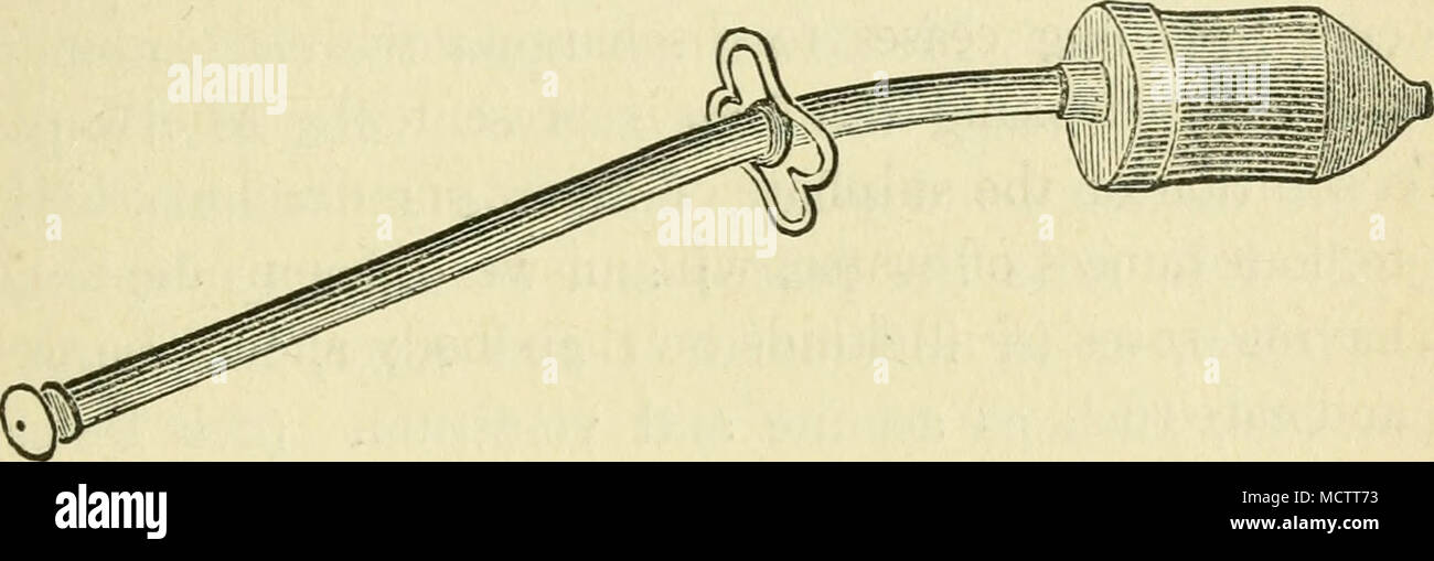 Brood mares hi-res stock photography and images - Alamy