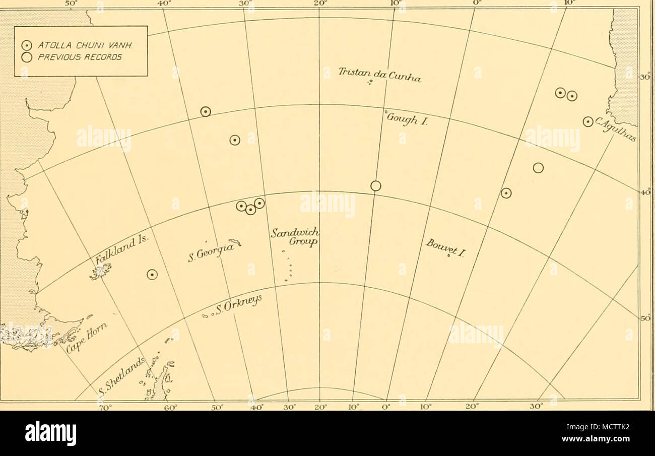 Atolla medusa hi-res stock photography and images - Alamy