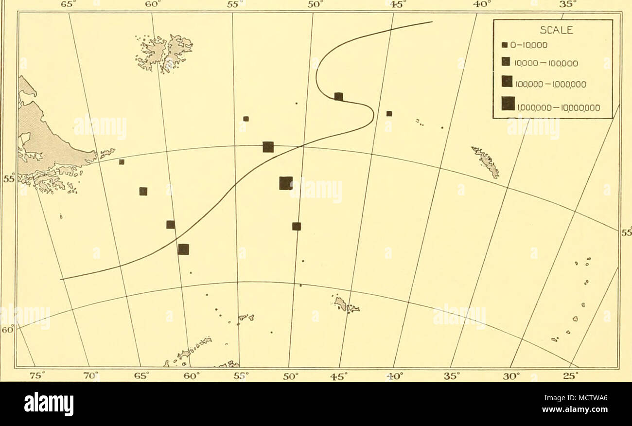 . Fig. 40. The distribution of Corethron valdiviae (spineless chain ...