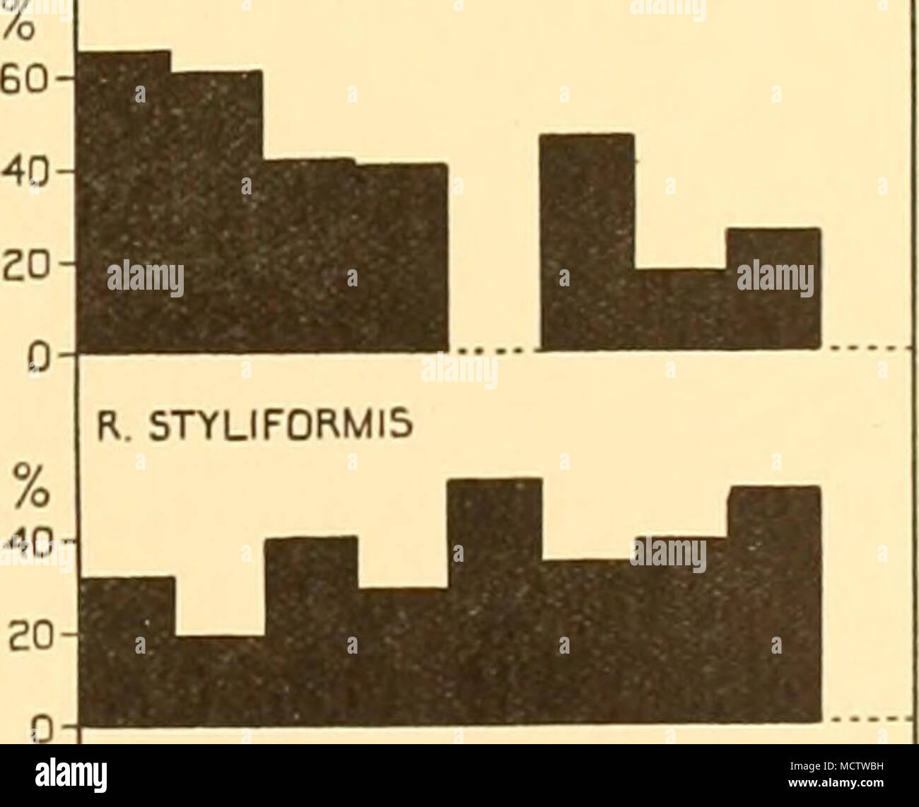 . 40- 20 2D THALASSIOTHRIX ANTARCTICA I CERATIUM PENTAGONUM Fig. 34 ...
