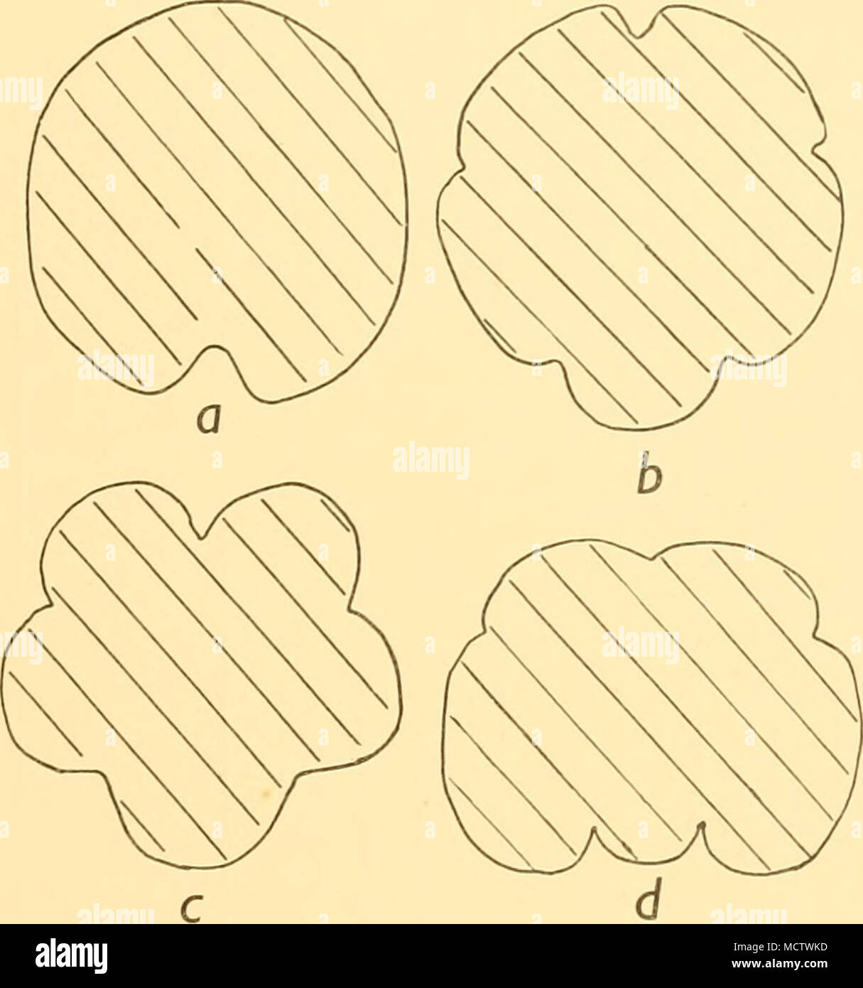 Rod shaped pellets hi-res stock photography and images - Alamy