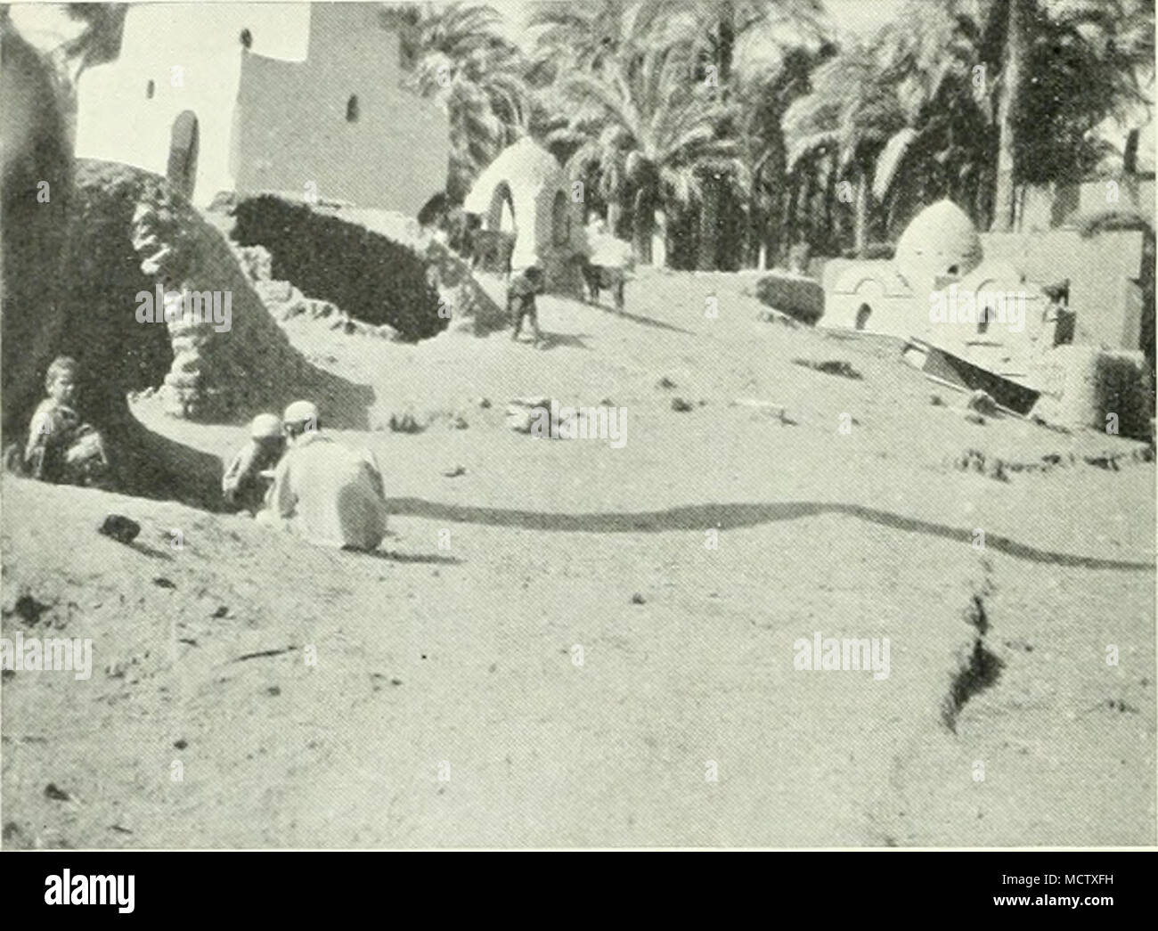 Mulid egypt hi-res stock photography and images - Alamy