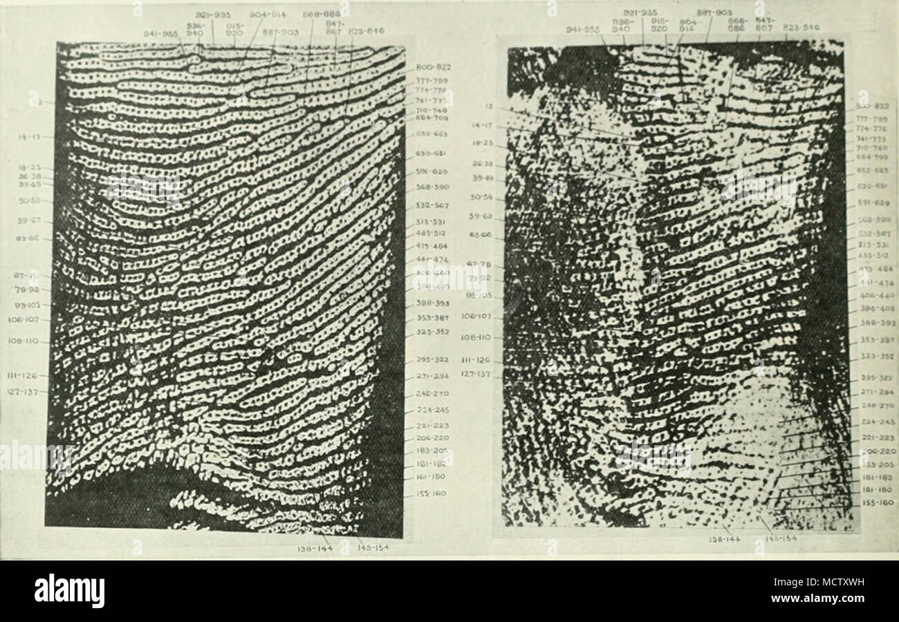 Finger prints comparison hi-res stock photography and images - Alamy