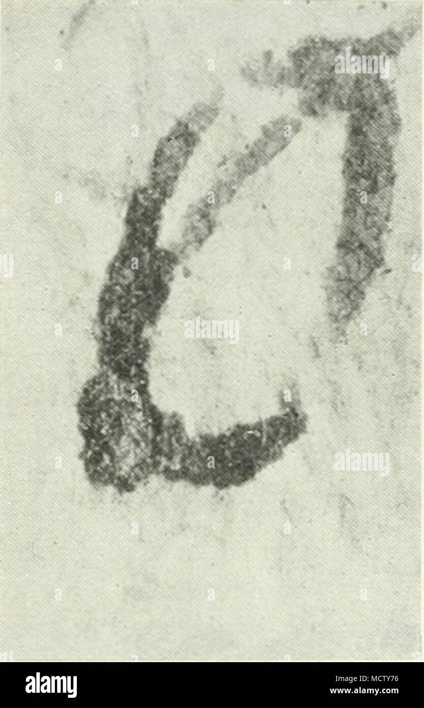 . Fig. I.—IRON-GALI, INK. PERIOD 1723. Magnificatiun 20. carbon inks to ...