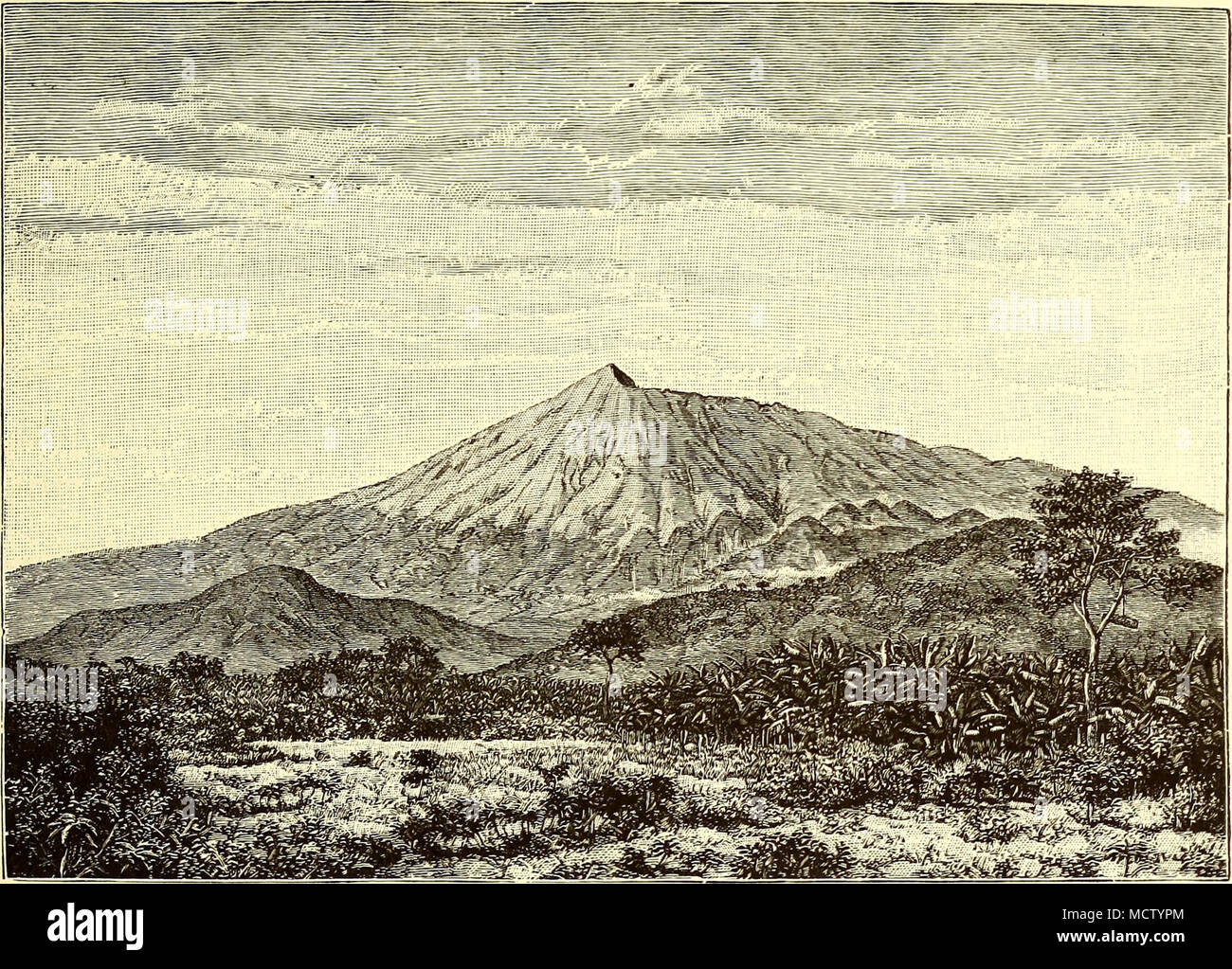 Mihono hi-res stock photography and images - Alamy