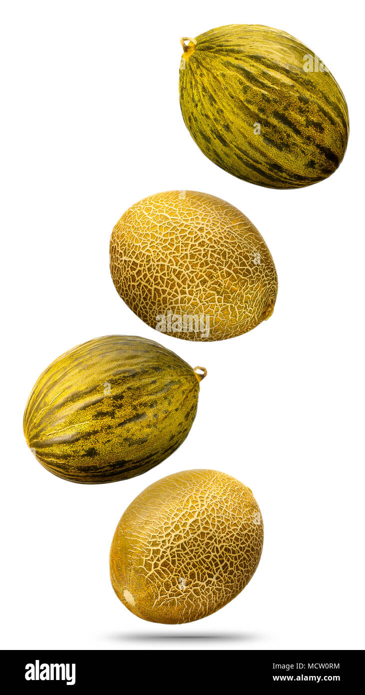 Falling golden melon isolated on white background Stock Photo - Alamy