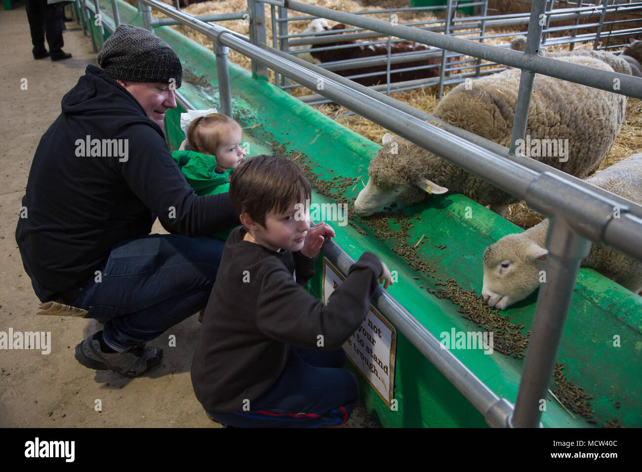 A day out at a farm, UK Stock Photo - Alamy
