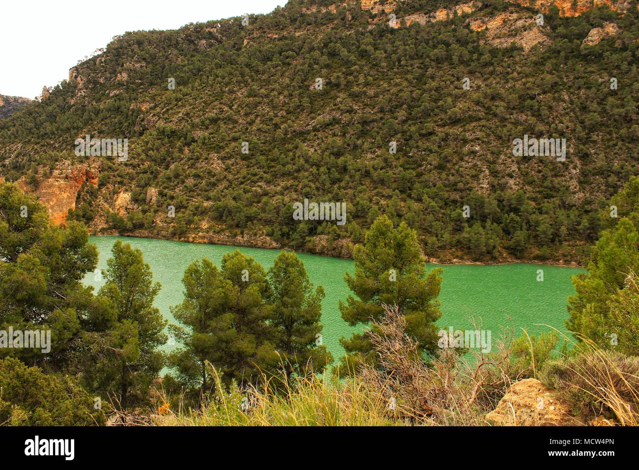 Swamp surrounded by mountains and colorful vegetation in El Molinar ...