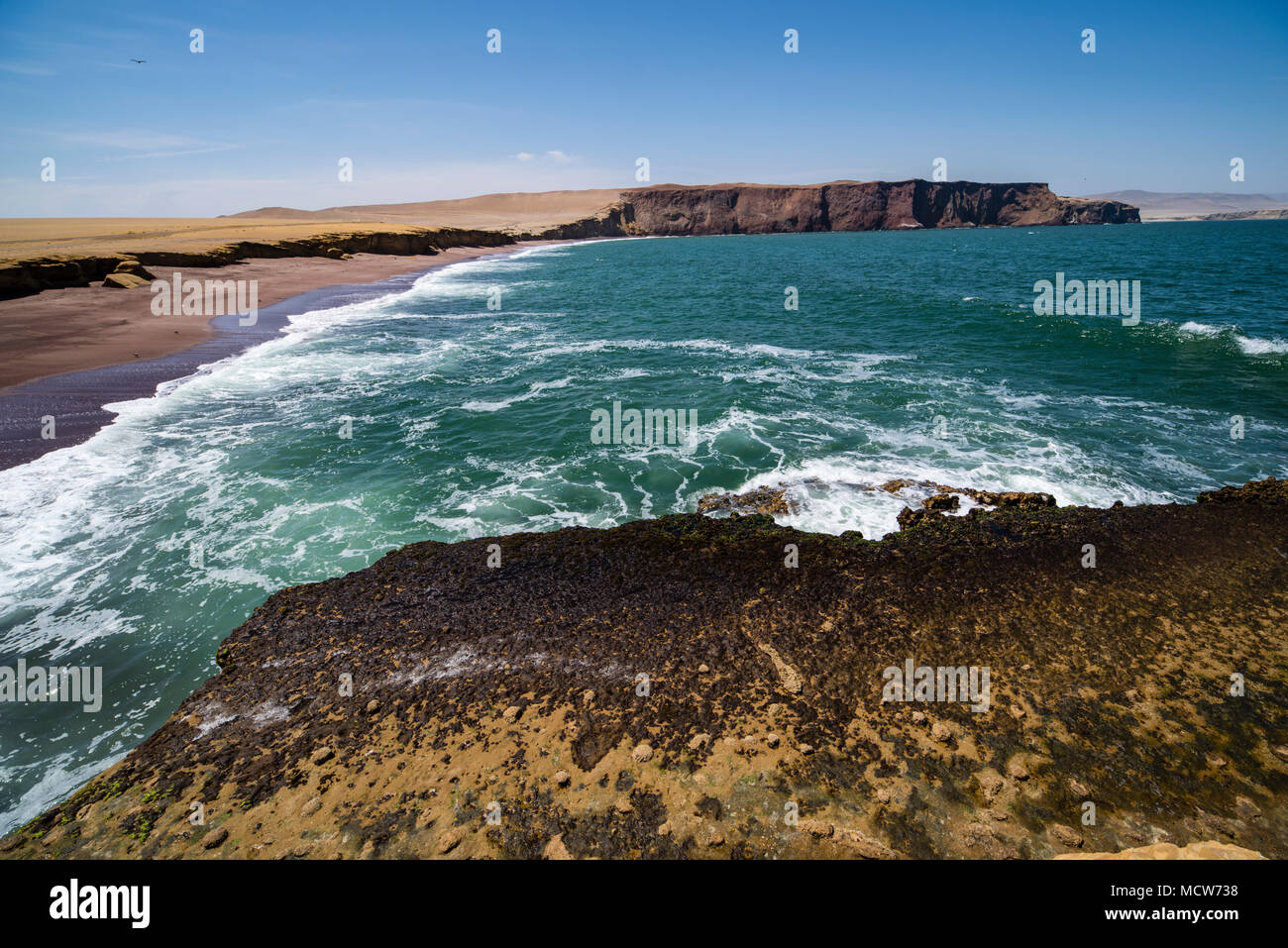 National Reserve of Paracas, Ica, Peru, South America Stock Photo - Alamy