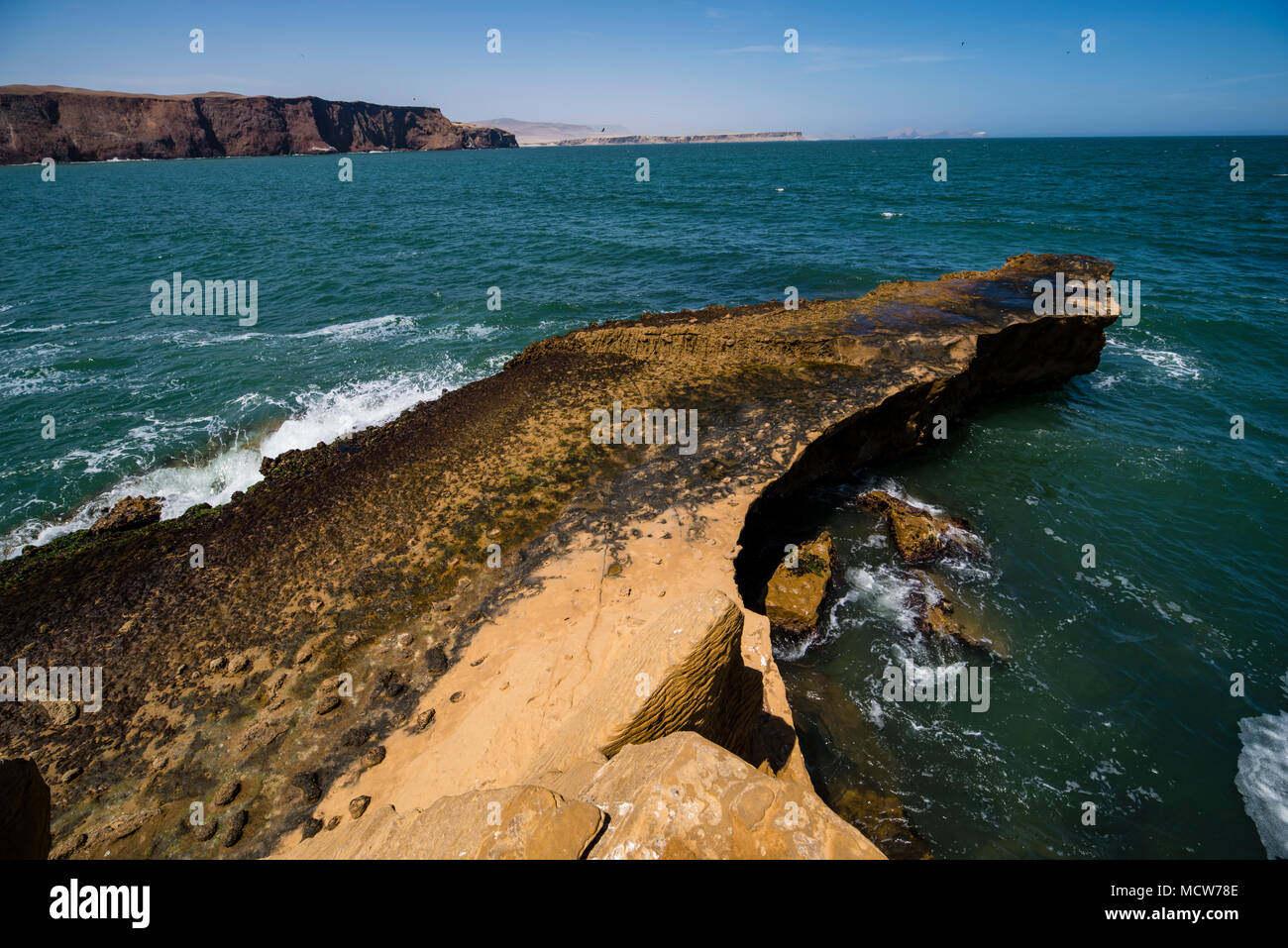 National Reserve of Paracas, Ica, Peru, South America Stock Photo - Alamy