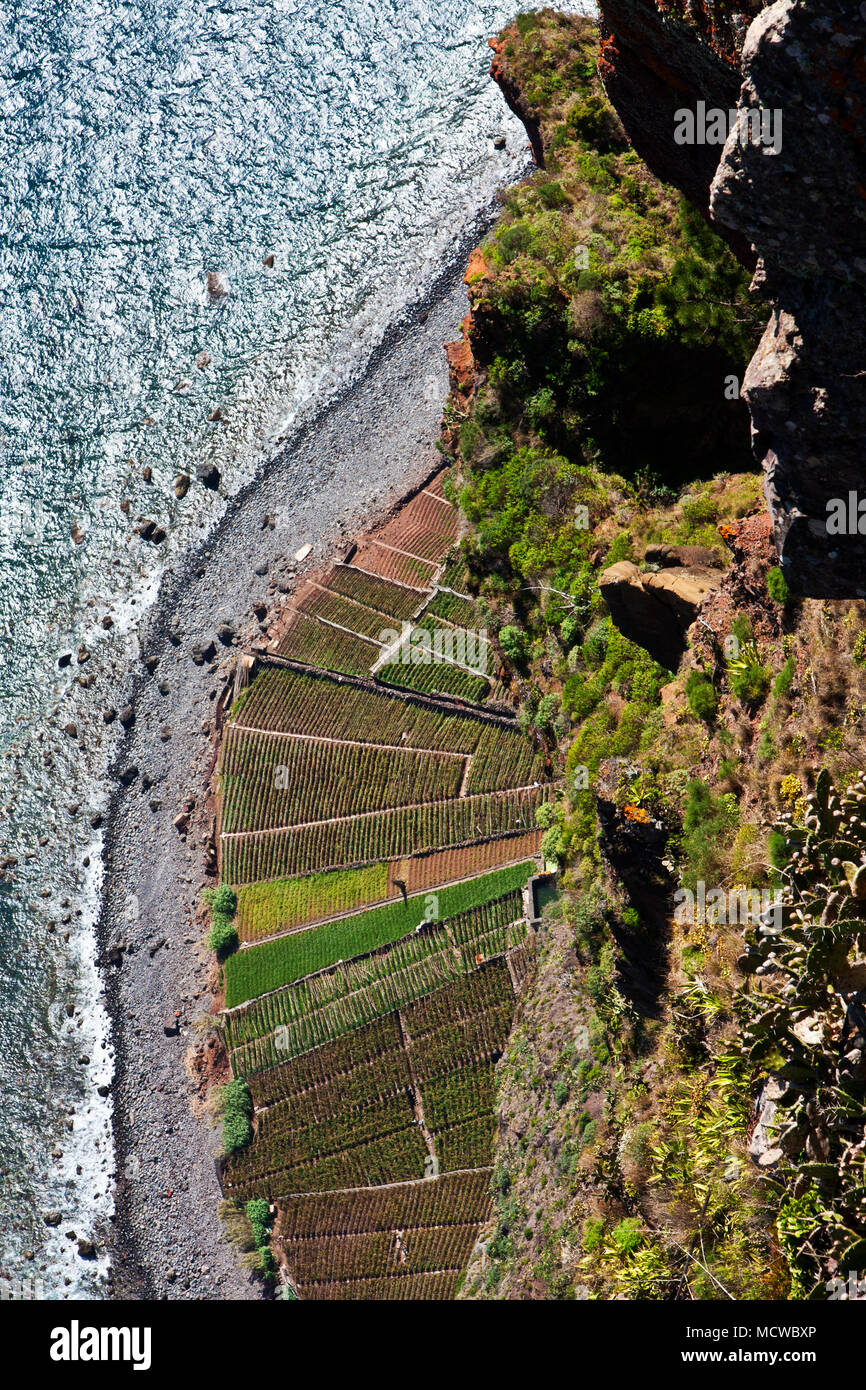 Portugal; Madeira; Cabo Girão Skywalk; highest in Europe; more than 1 ...