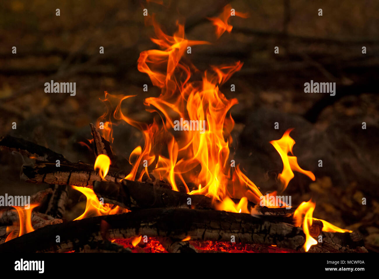 Fire burning woods hi-res stock photography and images - Alamy