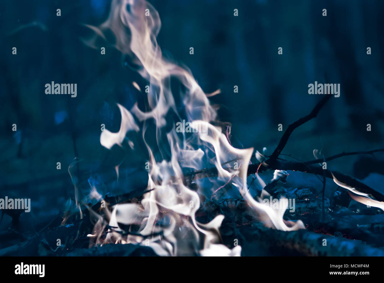 Bonfire forest hi-res stock photography and images - Alamy