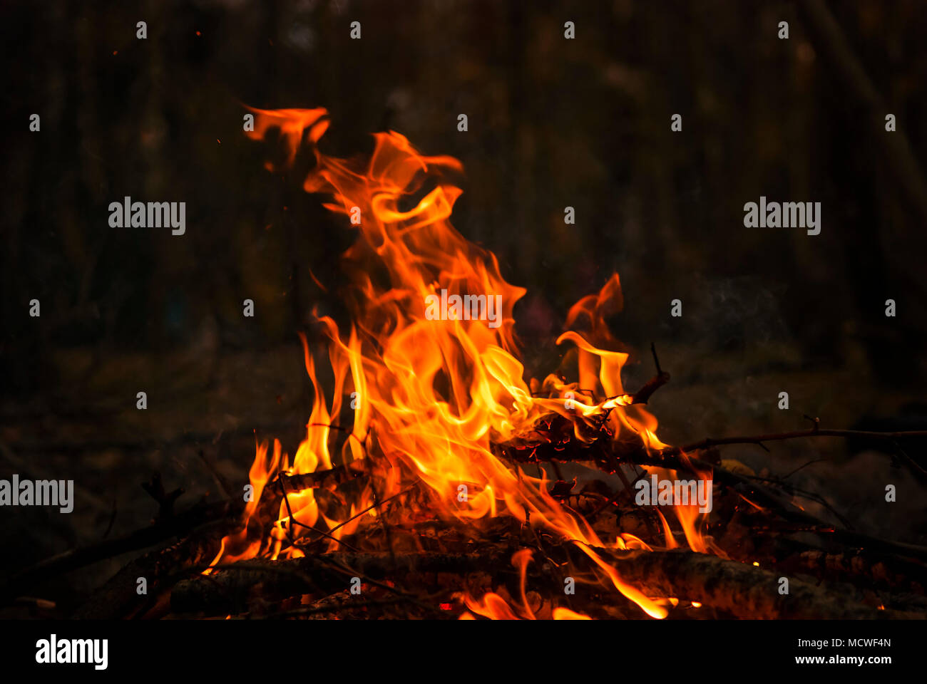 A camp fire burning, outdoor night scene Stock Photo - Alamy