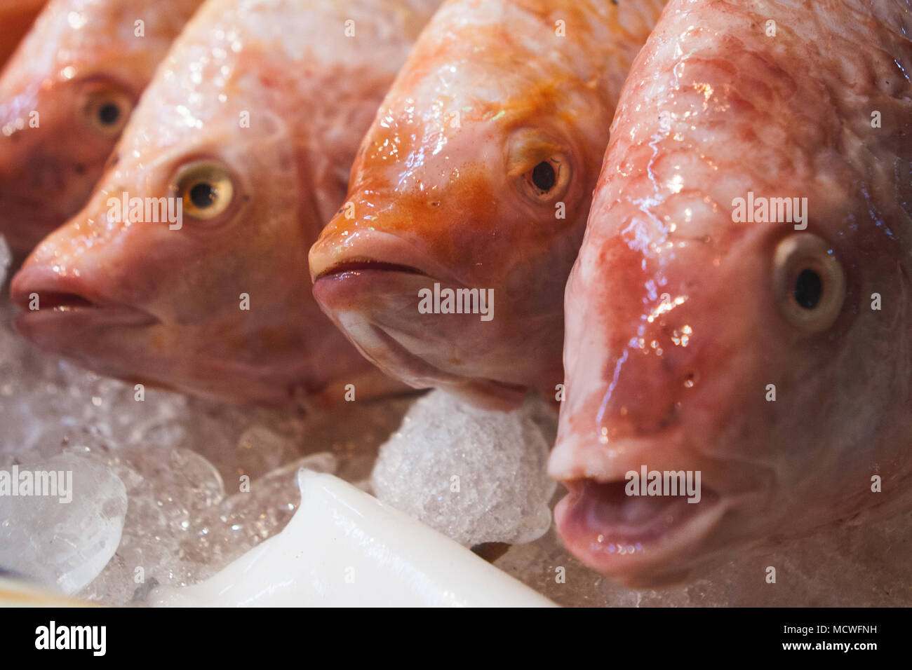 Four red snapper fish sold at a street food market stall. Chinatown ...