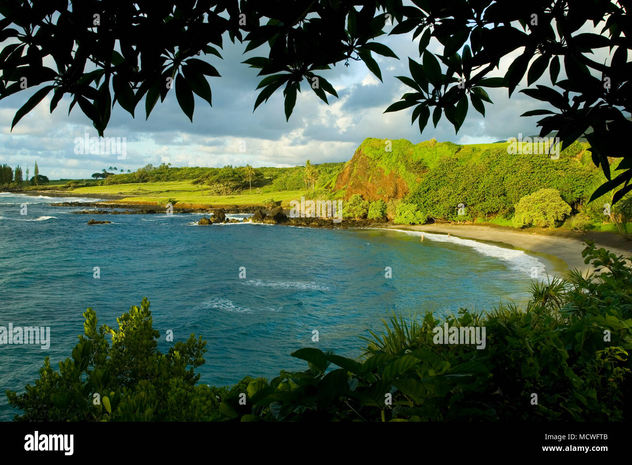 Hamao hi-res stock photography and images - Alamy