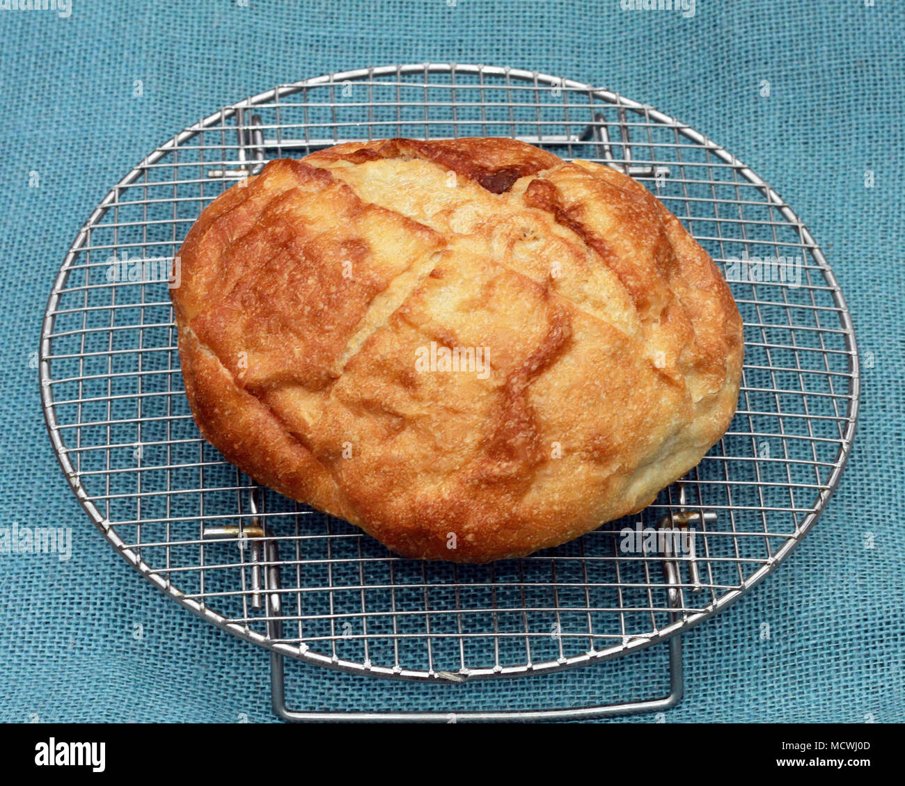 A loaf of French Boule bread cools on a wire rack with blue burlap ...