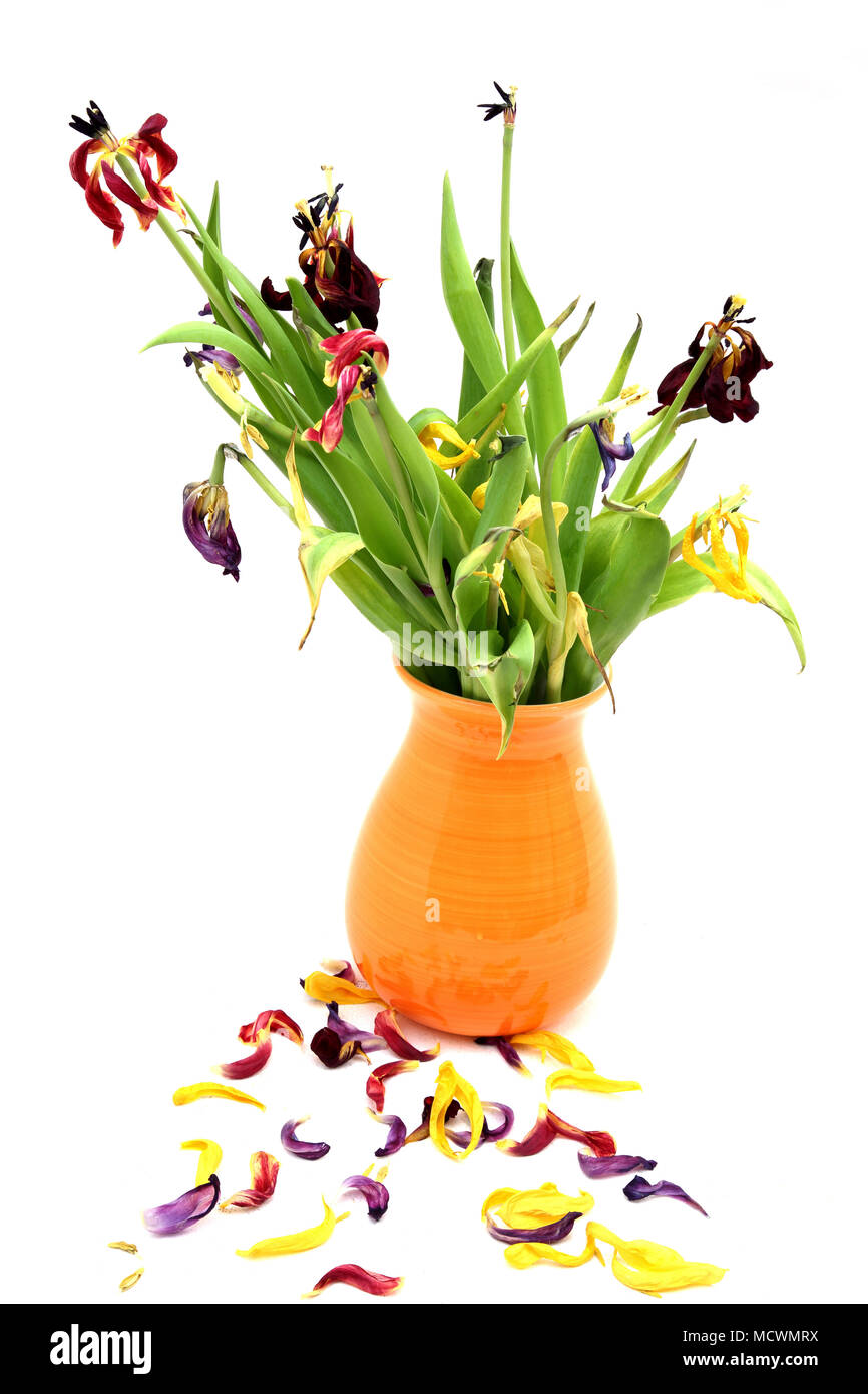 Dead flowers bunch Cut Out Stock Images & Pictures - Alamy