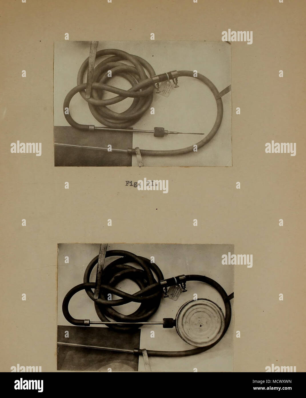 1920s food processing hi-res stock photography and images - Alamy