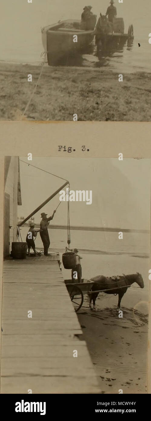 1920s food processing hi-res stock photography and images - Alamy