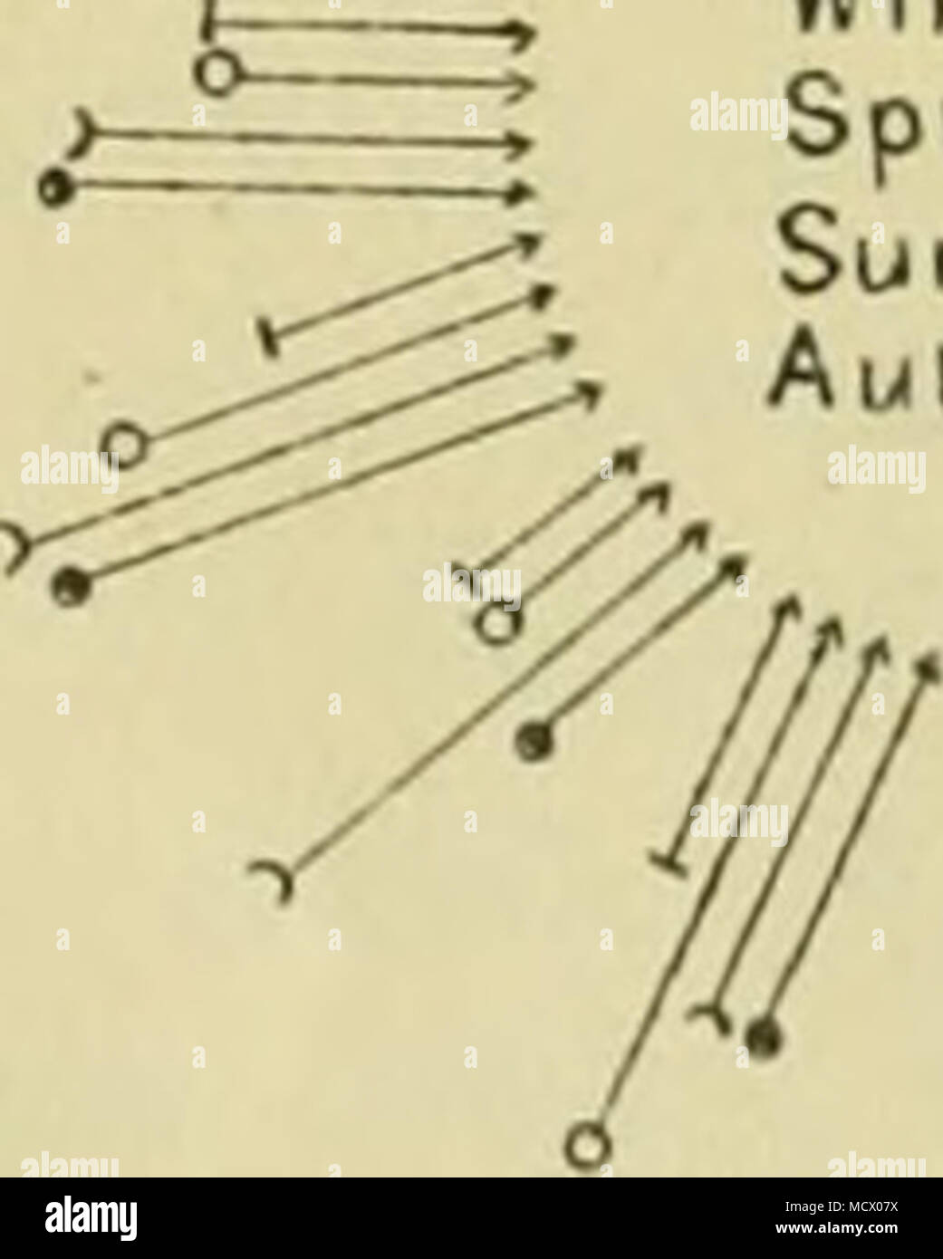 Trrw hi-res stock photography and images - Alamy