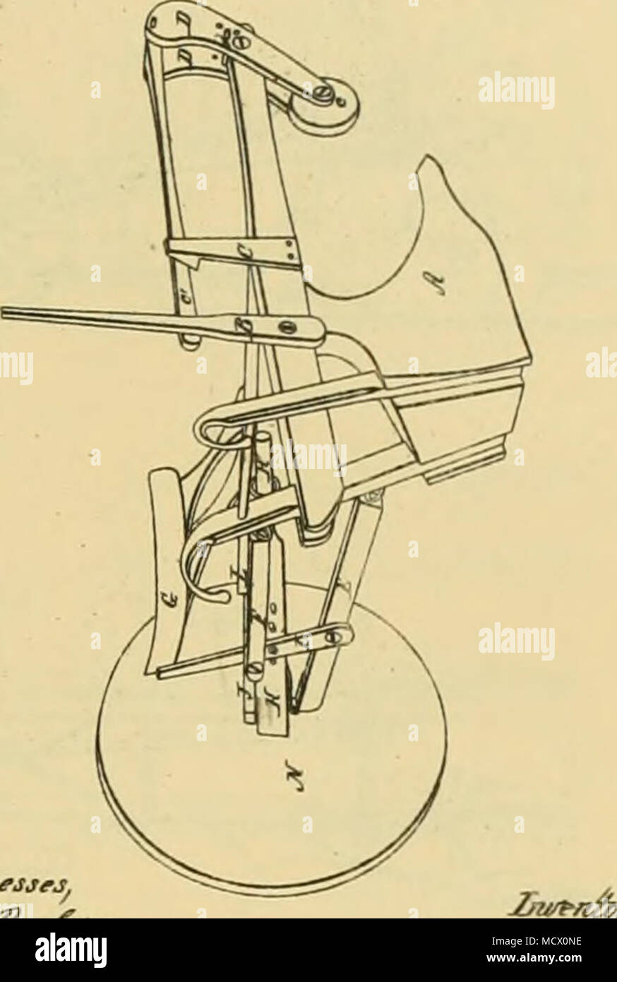 Iiy hi-res stock photography and images - Alamy