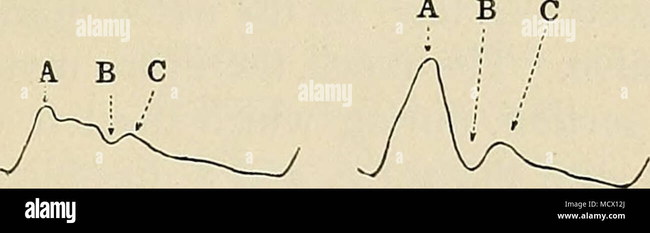 Slightly compressed hi-res stock photography and images - Alamy