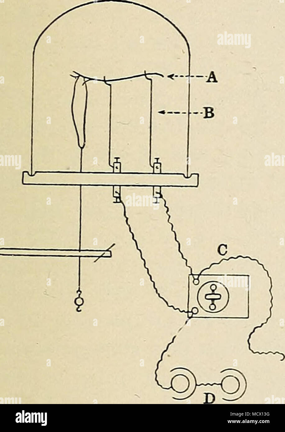. Fig. 20. Apparatus tor observing polar- ization of electrodes. A ...