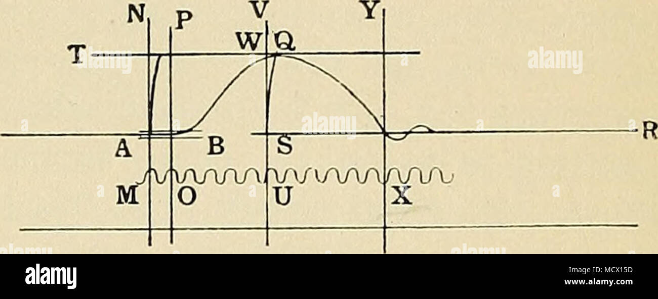 Myogram hi-res stock photography and images - Alamy