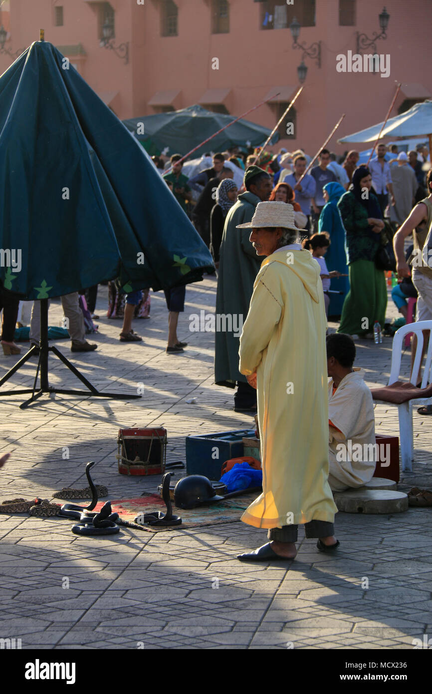 Marrakech medina snake hi-res stock photography and images - Alamy