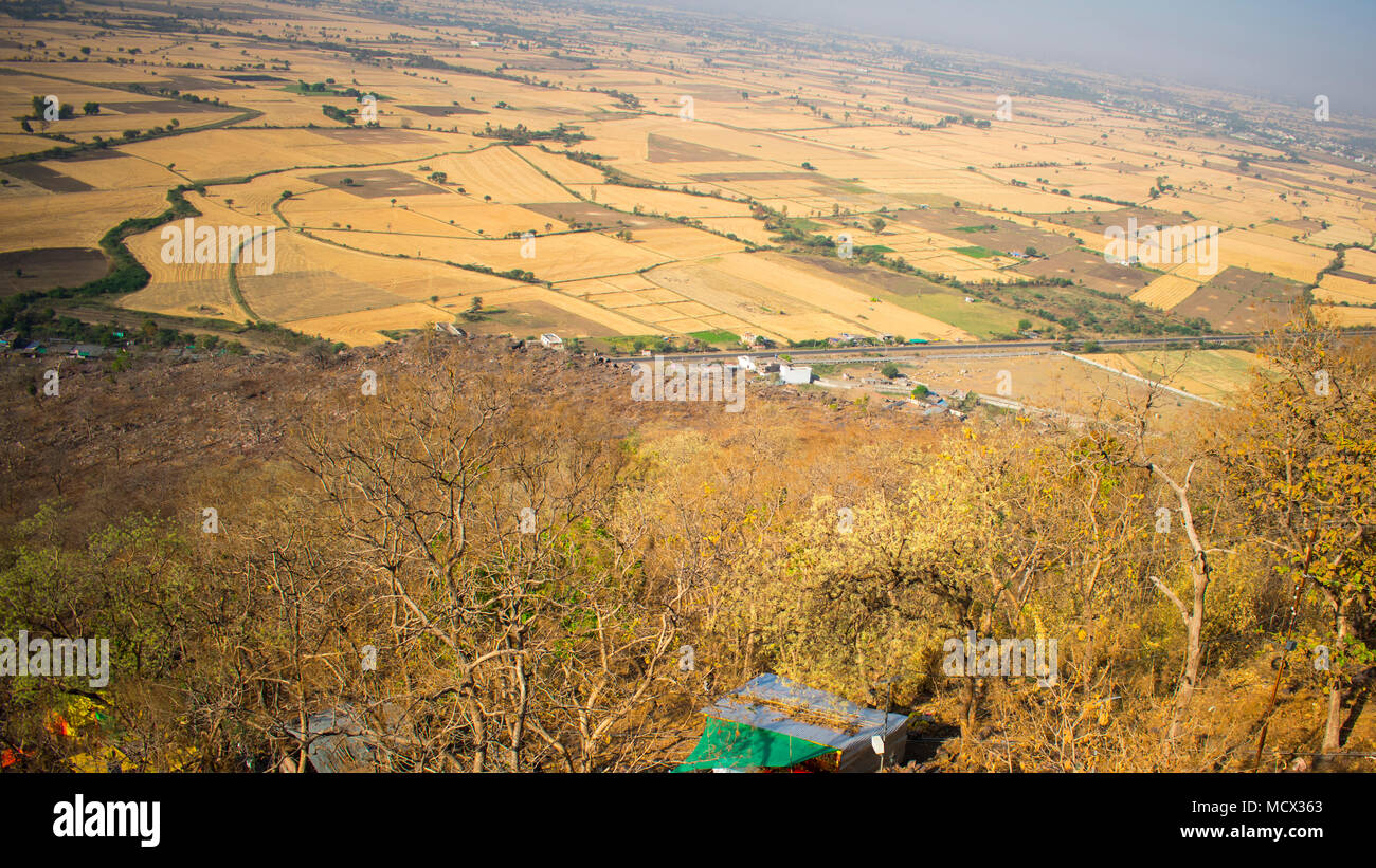 Tree top view clipart hi-res stock photography and images - Alamy