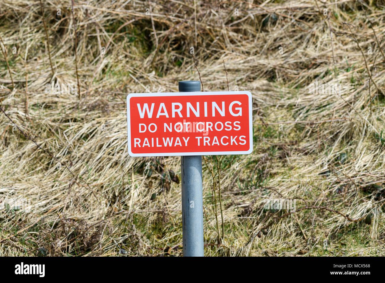 Red sign saying do not cross railway tracks Stock Photo - Alamy