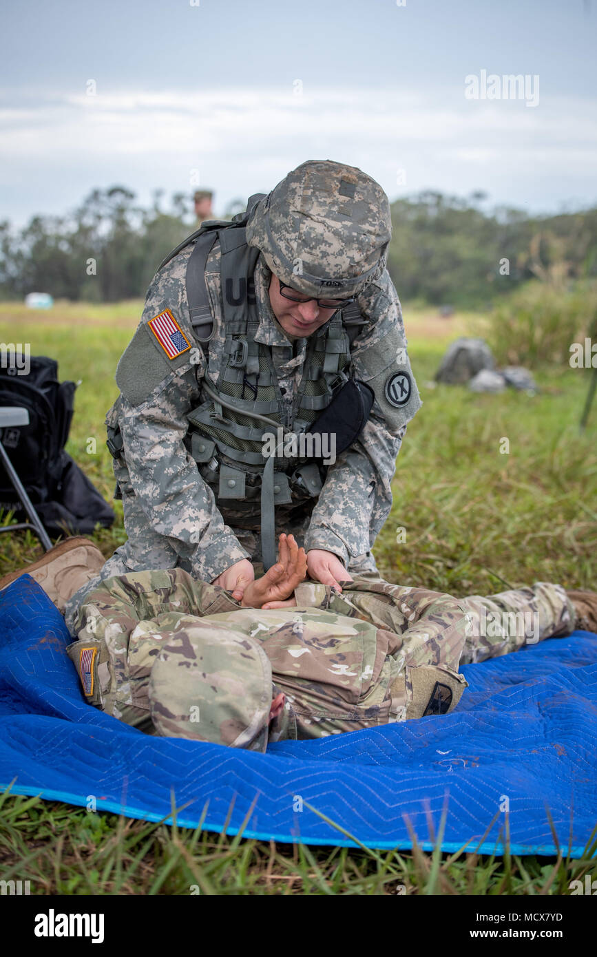 Spc. Daniel J. Tose of the 658th Regional Support Group searches a ...