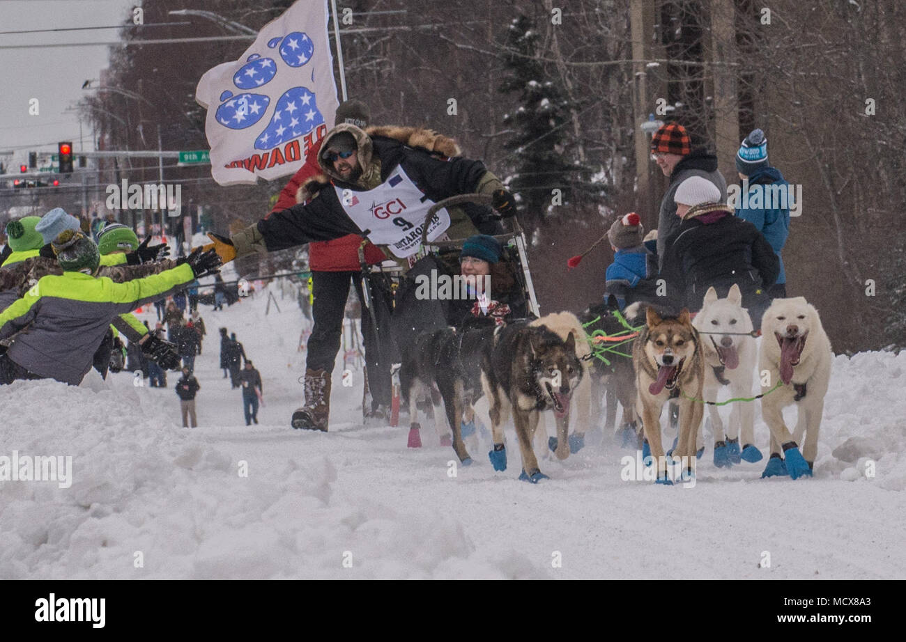 Alaska finish line sled dog iditarod musher hi-res stock photography ...