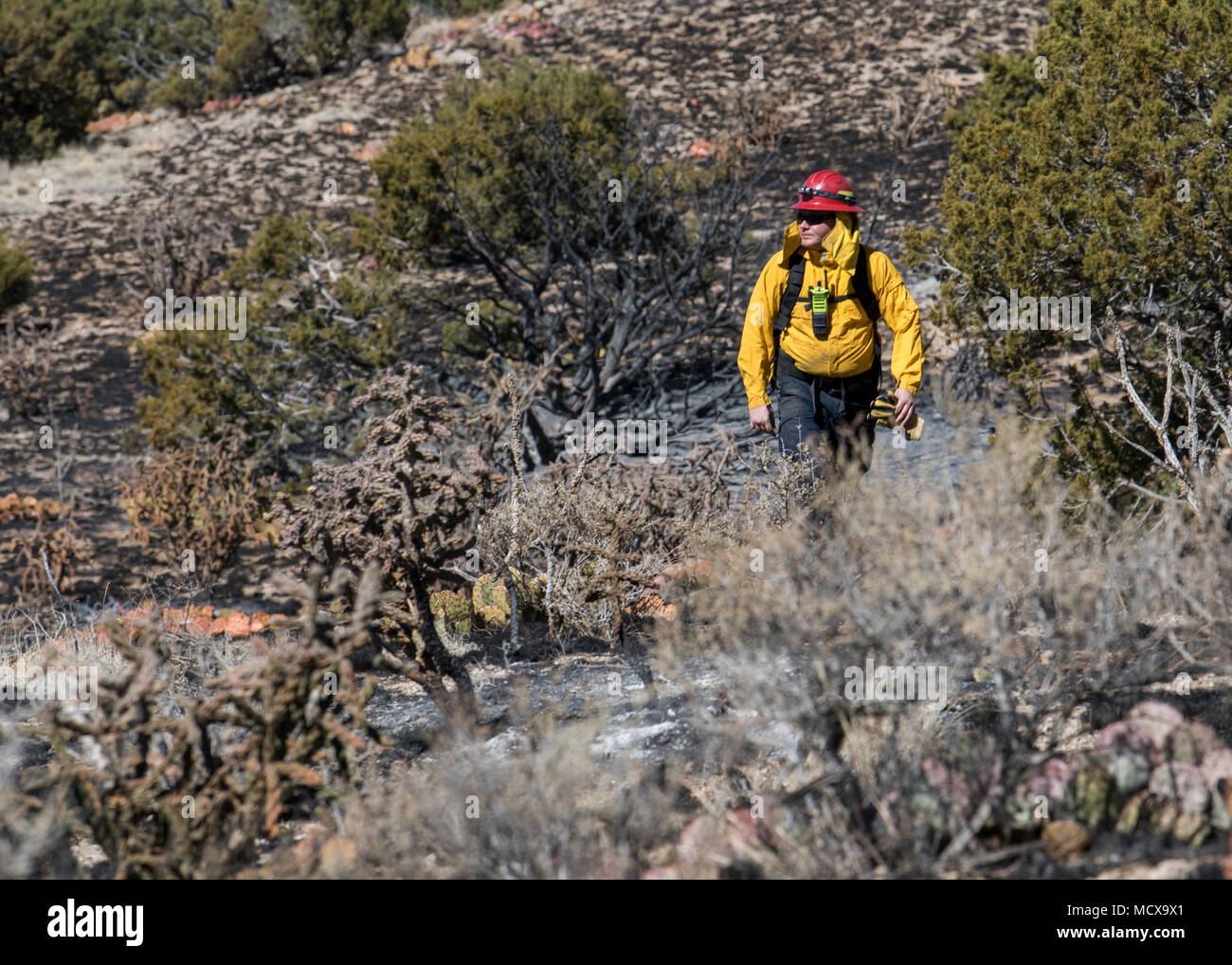 Firemen from the 377th Fire Battallion, monitor hotspots from a fire on ...