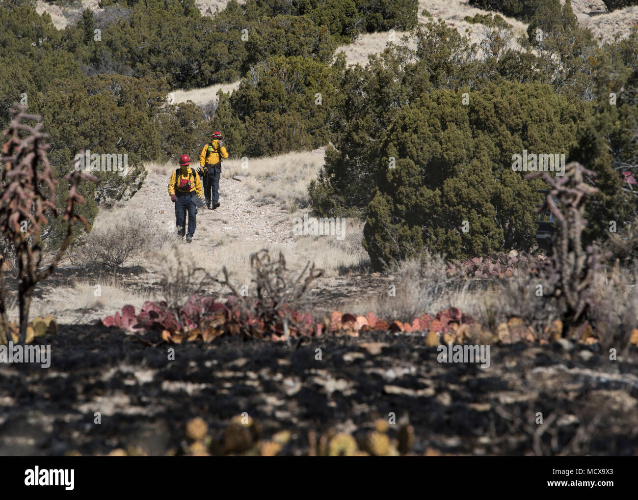 Firemen from the 377th Fire Battallion, monitor hotspots from a fire on ...