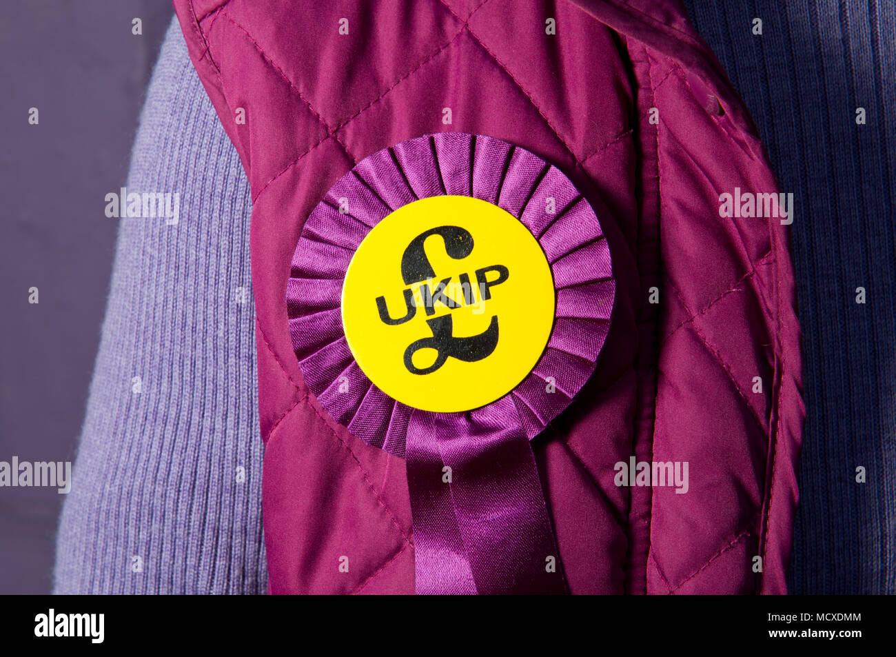 Aubrey & Sheila Attwater, UKIP husband & wife candidates in Swindon ...