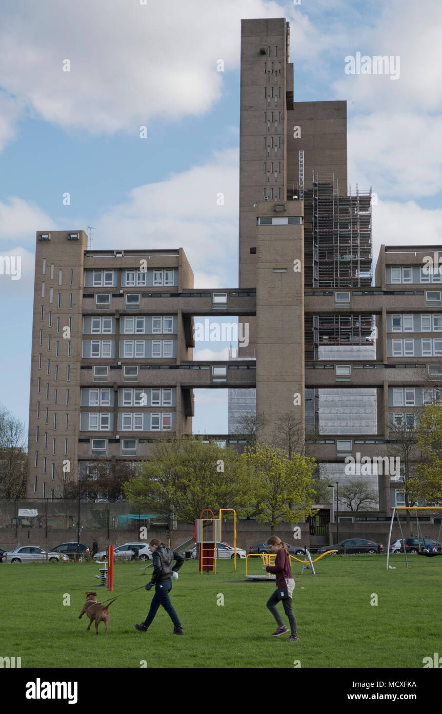 Neighbours walking their dog with a view of the 26-storey Balfron Tower ...