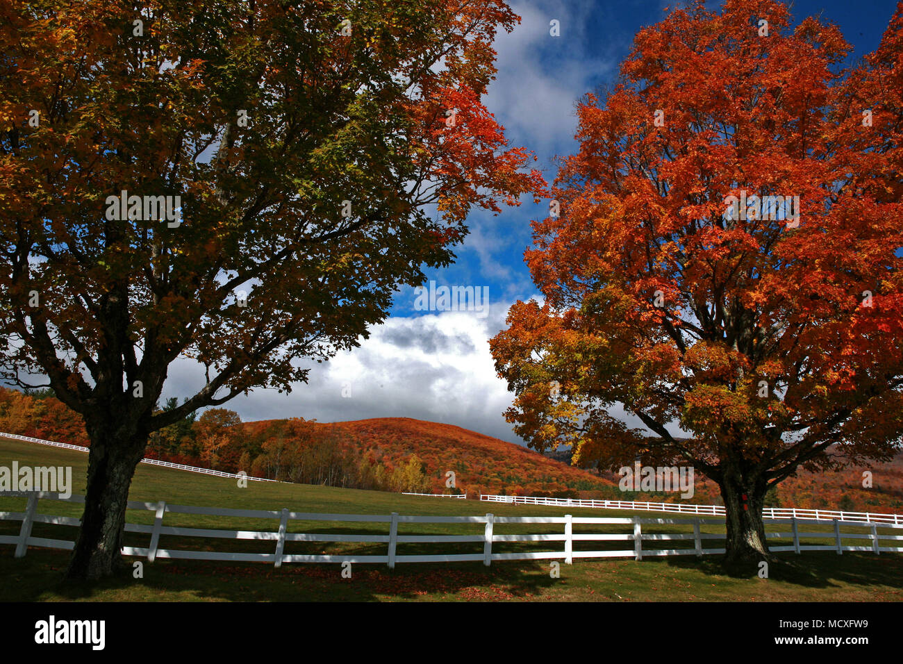 fall colors covering mountains, green fields with white fence colorful ...