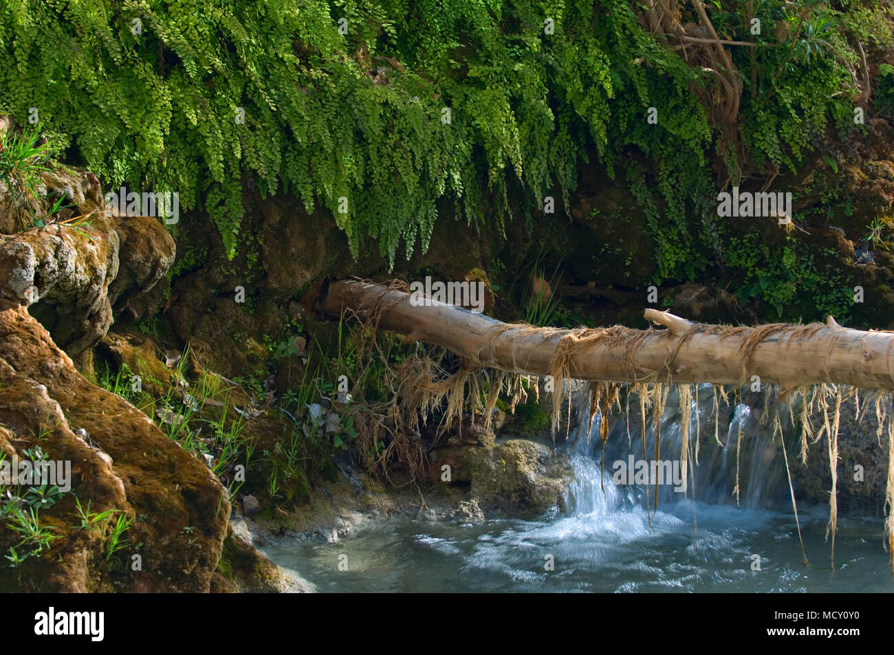 Arizona moss water hi-res stock photography and images - Alamy