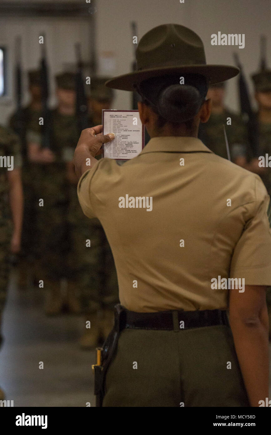 U s marine corps drill instructor hi-res stock photography and images ...