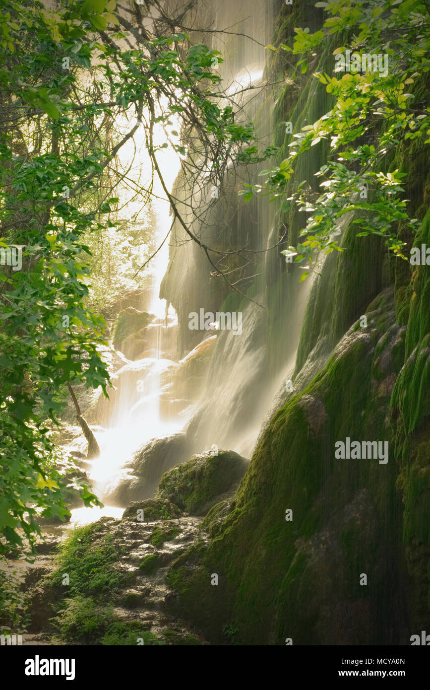 Gorman falls texas hi-res stock photography and images - Alamy