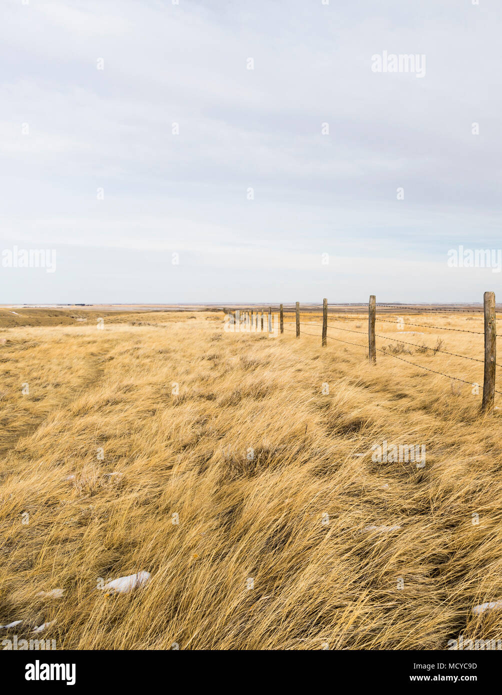 Grassland with fence hi-res stock photography and images - Alamy